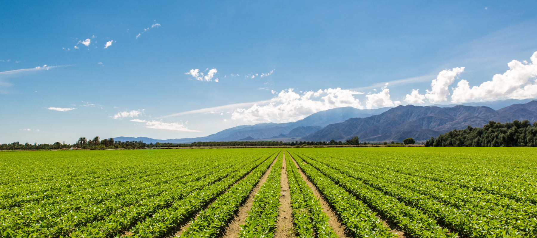 2018 Farm Act – Tap Root Fields