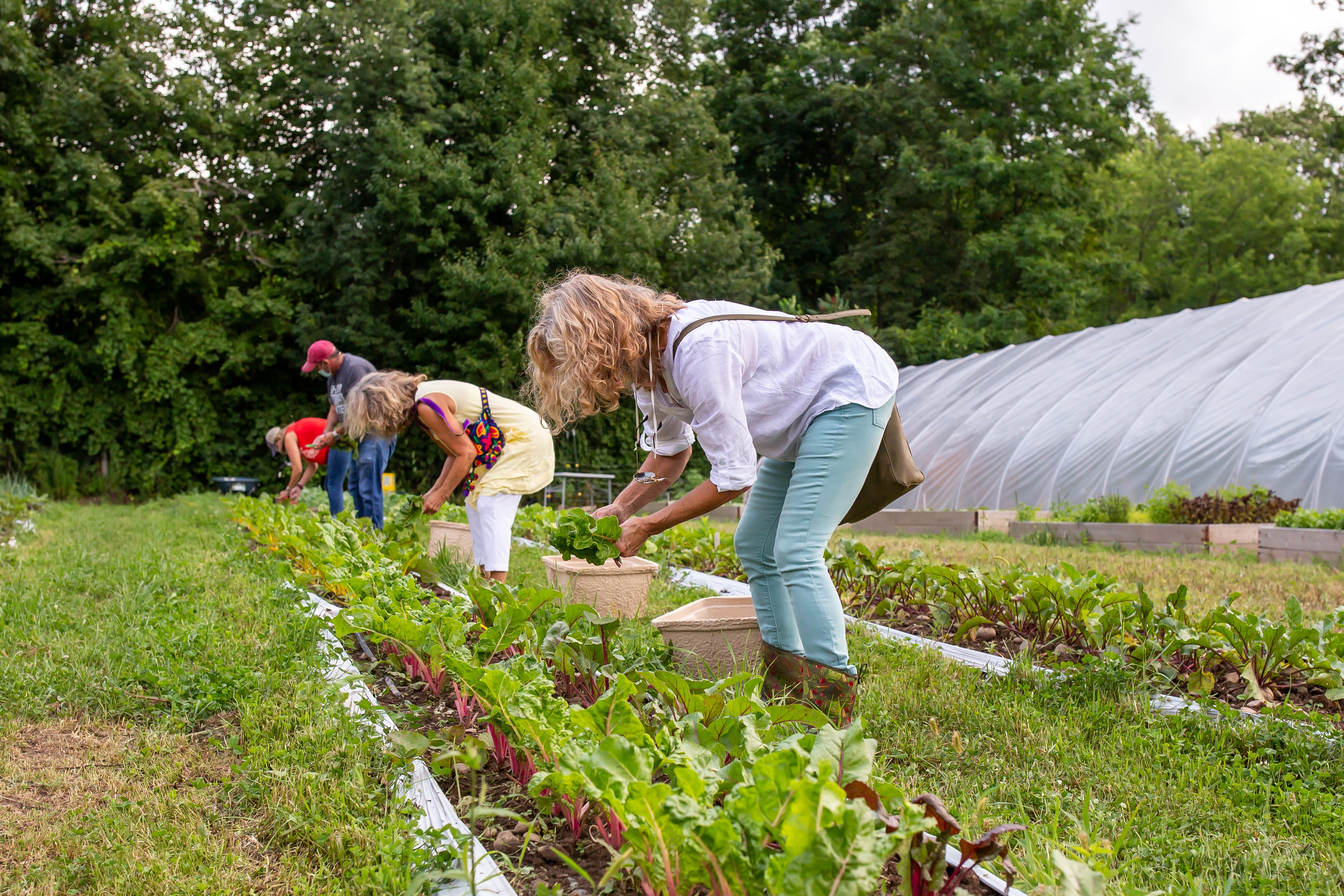 Eat local! Why farm fresh foods are better – Tap Root Fields